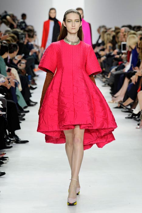 Dior Fall 2014 PFW - Fashion Daily Mag